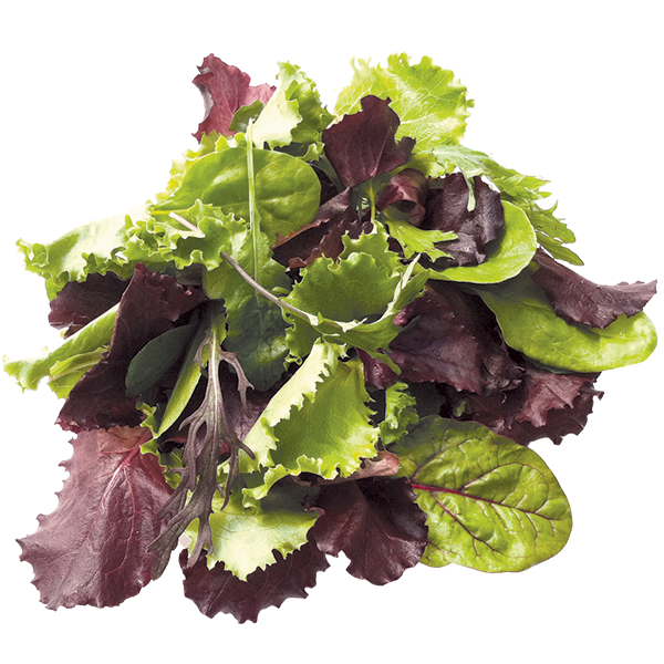 Mesclun mix (500g) - Sunrise Fresh
